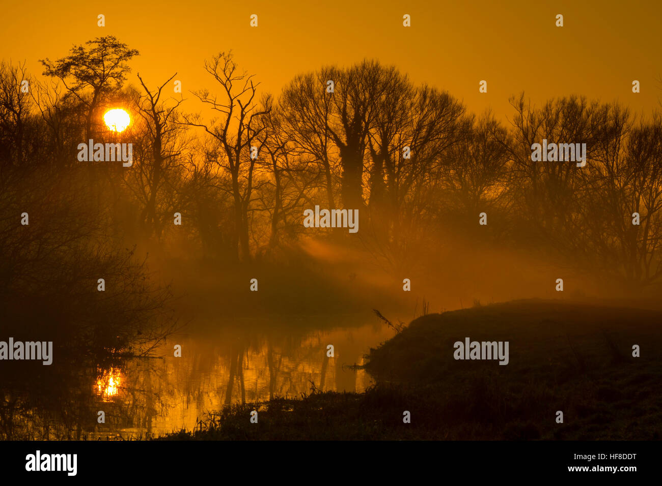 Norfolk nature reserves hi-res stock photography and images - Alamy