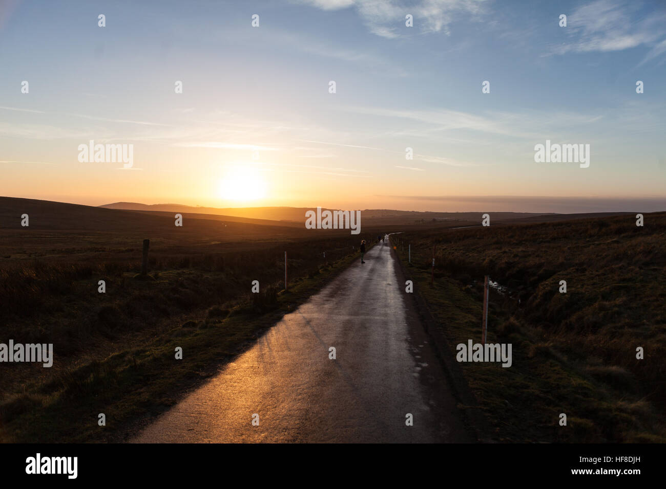 Belfast, UK. 28th Dec, 2016. Divis Mountain Walk, Belfast. 28th ...