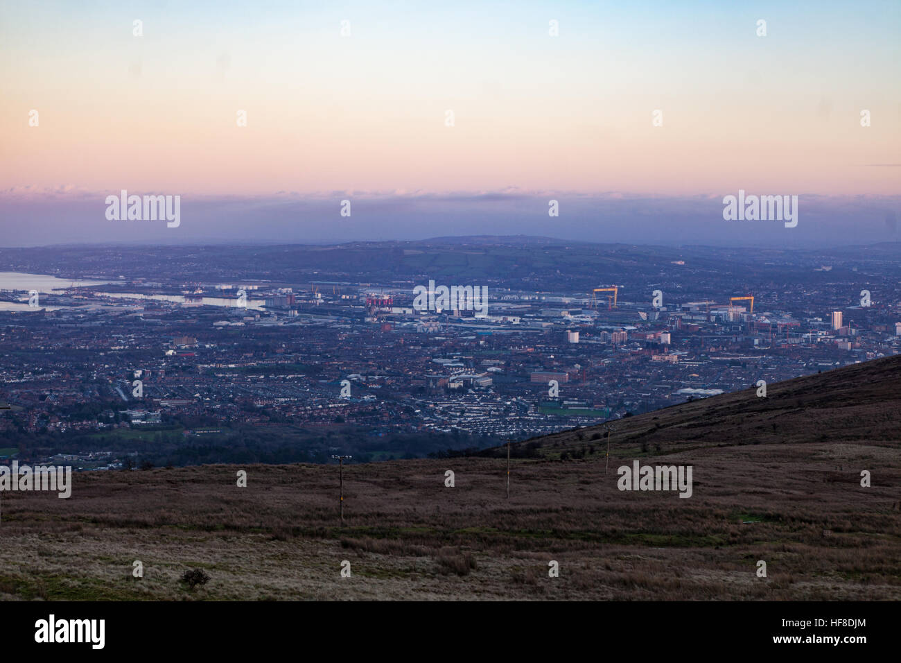 Belfast, UK. 28th Dec, 2016. Divis Mountain Walk, Belfast. 28th ...