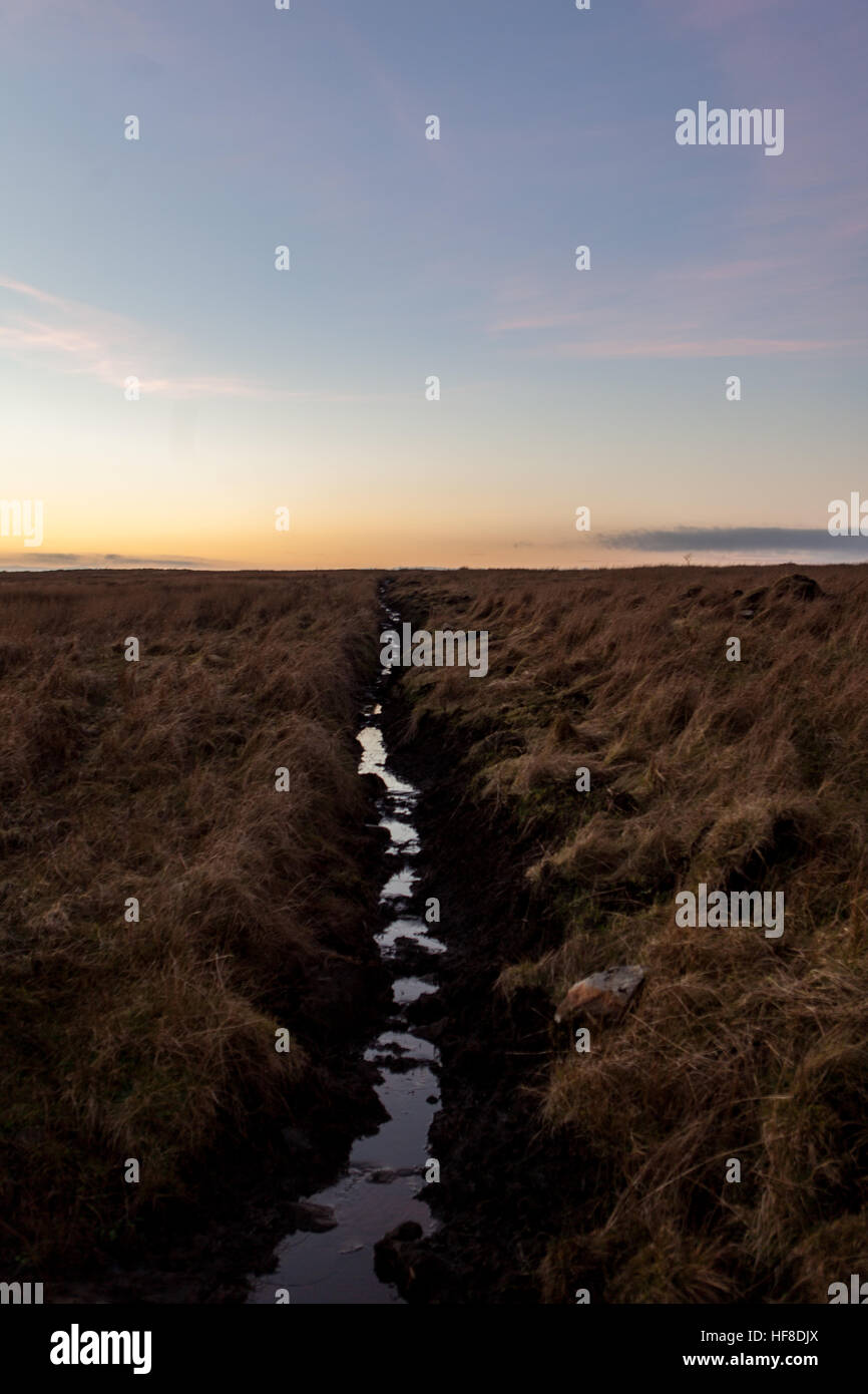 Belfast, UK. 28th Dec, 2016. Divis Mountain Walk, Belfast. 28th ...