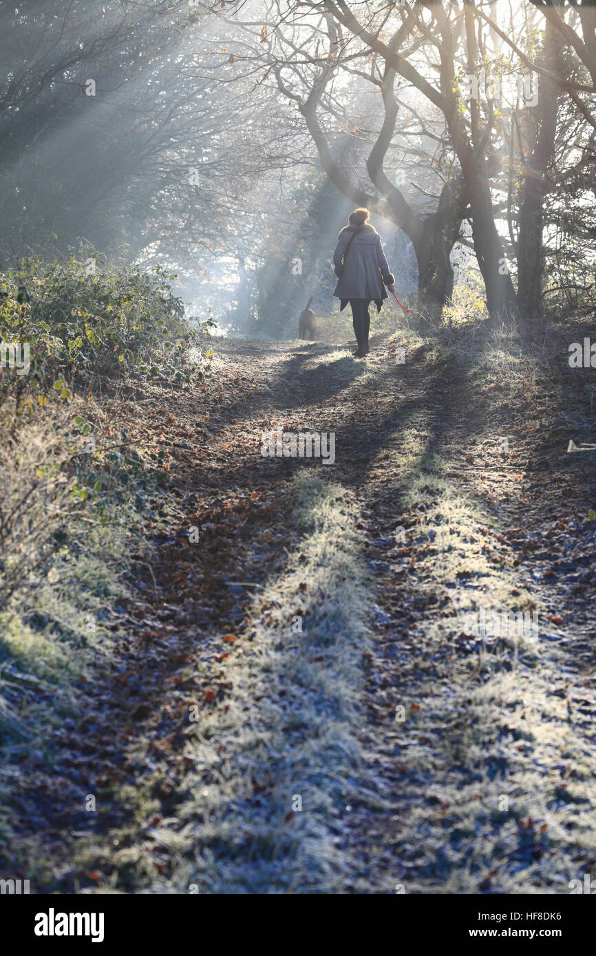 Fring, Norfolk, England, UK. 28th December 2016. A bright, frosty ...