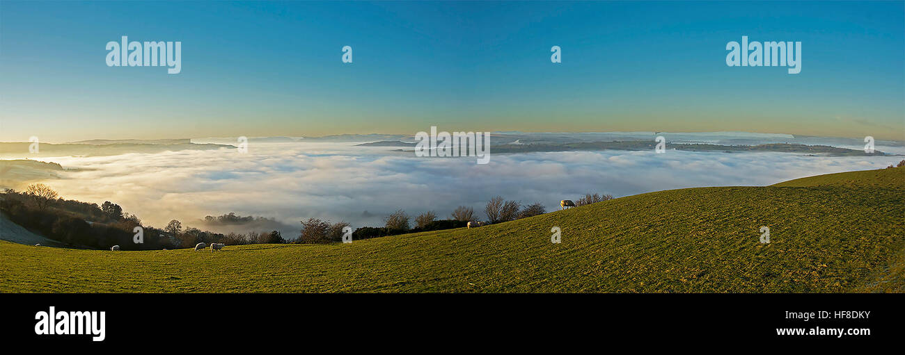 Misty Valley Newtown Mid-Wales Stock Photo - Alamy
