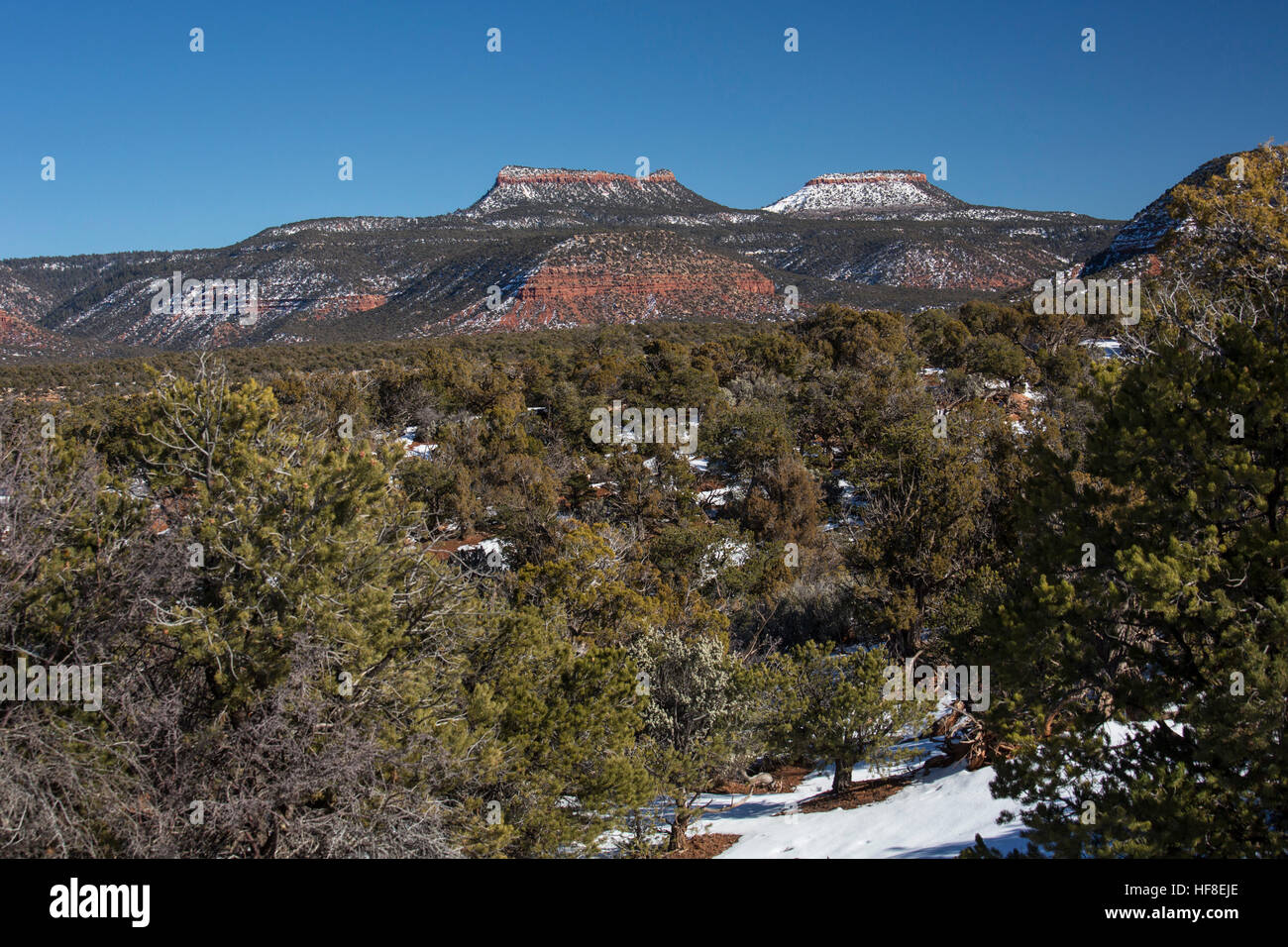 Blanding, Utah - Bears Ears National Monument, which protects 1.35 ...