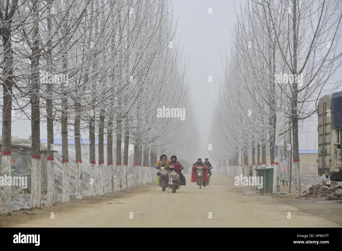 Liaocheng, Liaocheng, China. 29th Dec, 2016. The frosted trees in ...