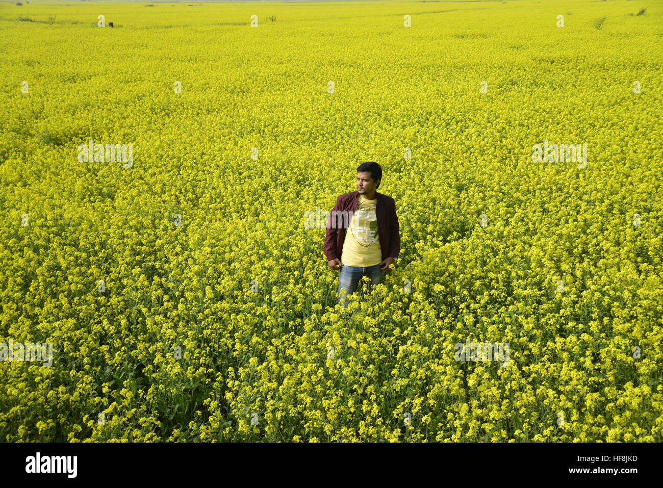 Dhaka, Bangladesh. 28th Dec, 2016. A Bangladeshi man poses for portrait ...