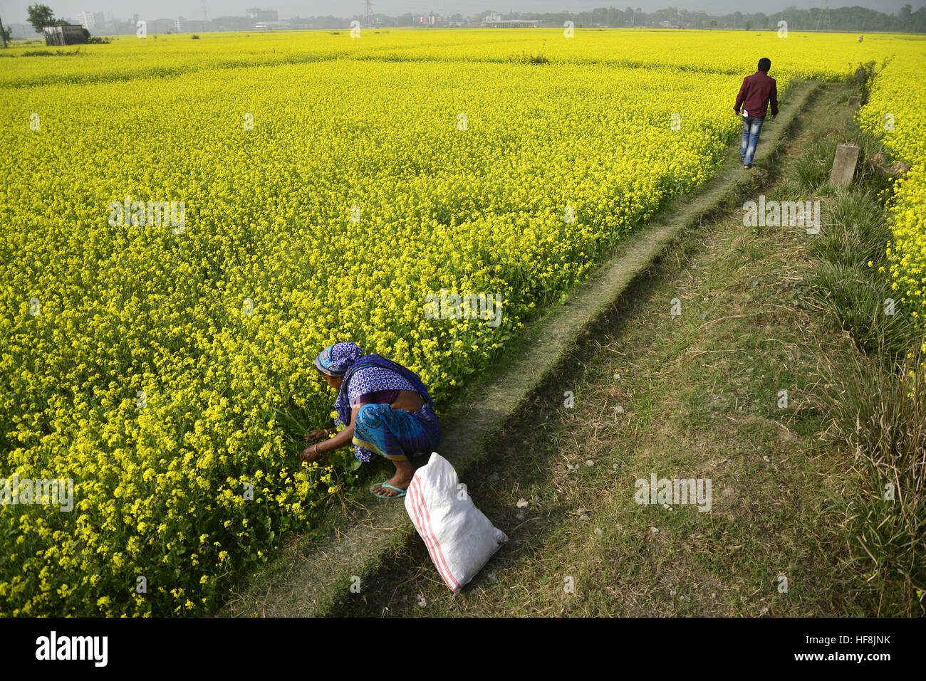 Dhaka, Bangladesh. 28th Dec, 2016. Bangladeshi peoples walks in the ...