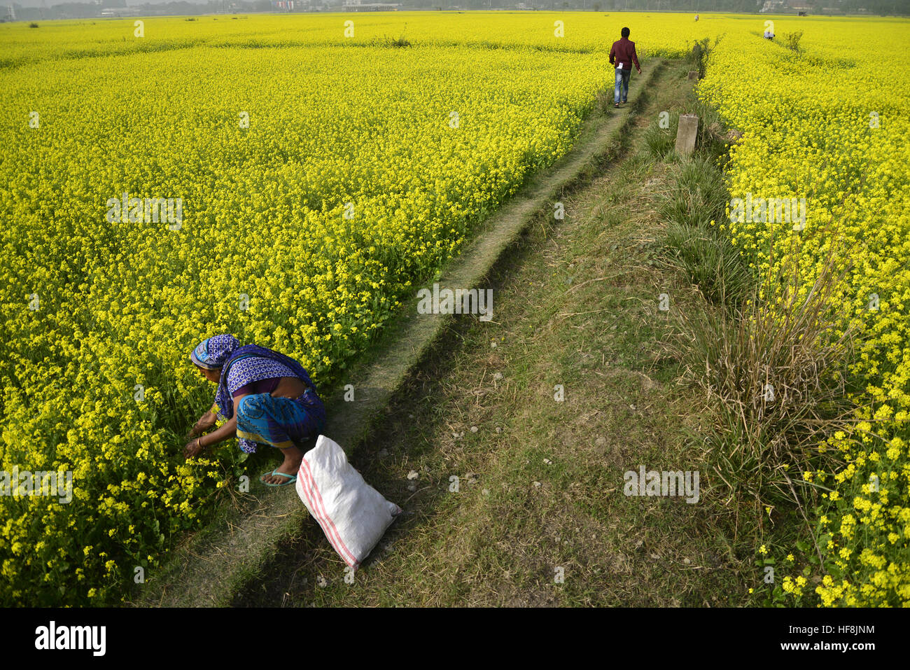 Dhaka, Bangladesh. 28th Dec, 2016. Bangladeshi peoples walks in the ...