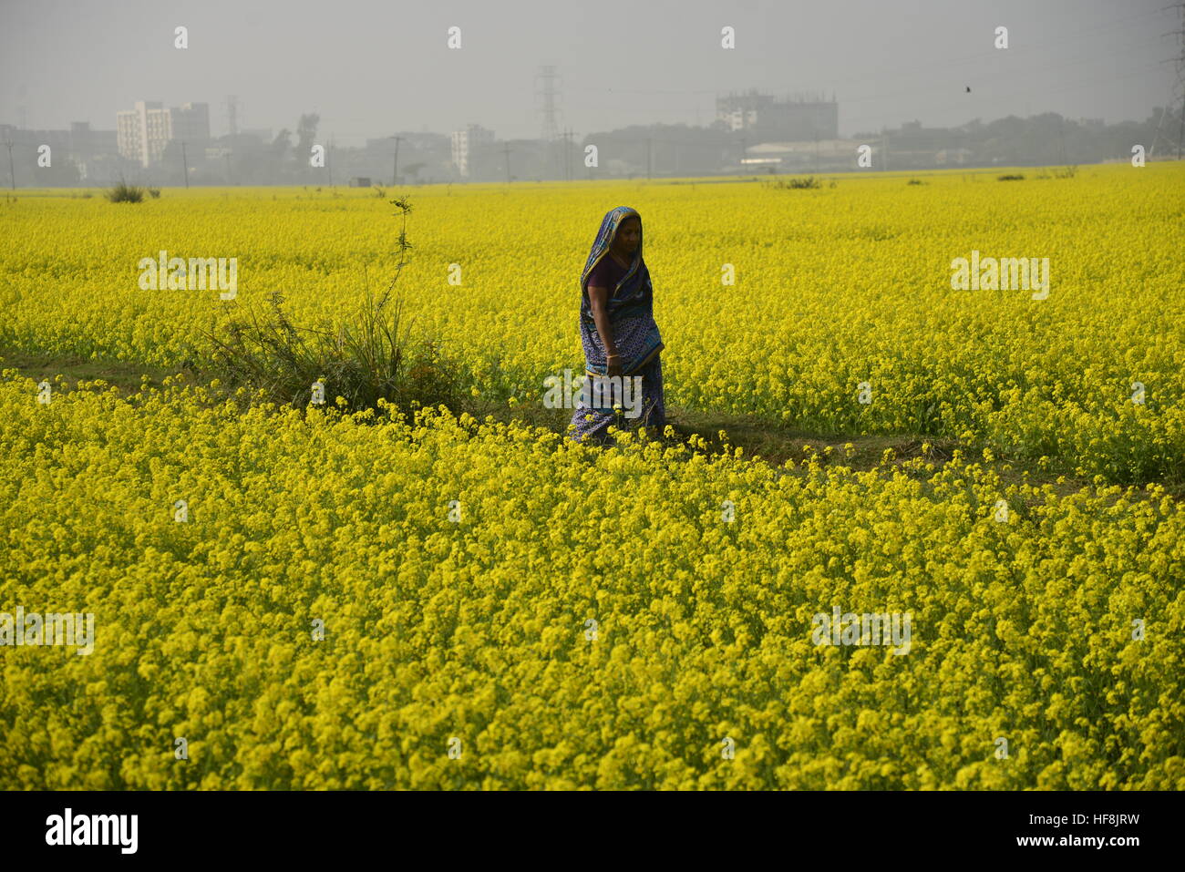 Dhaka, Bangladesh. 28th Dec, 2016. A Bangladeshi woman walks in the ...