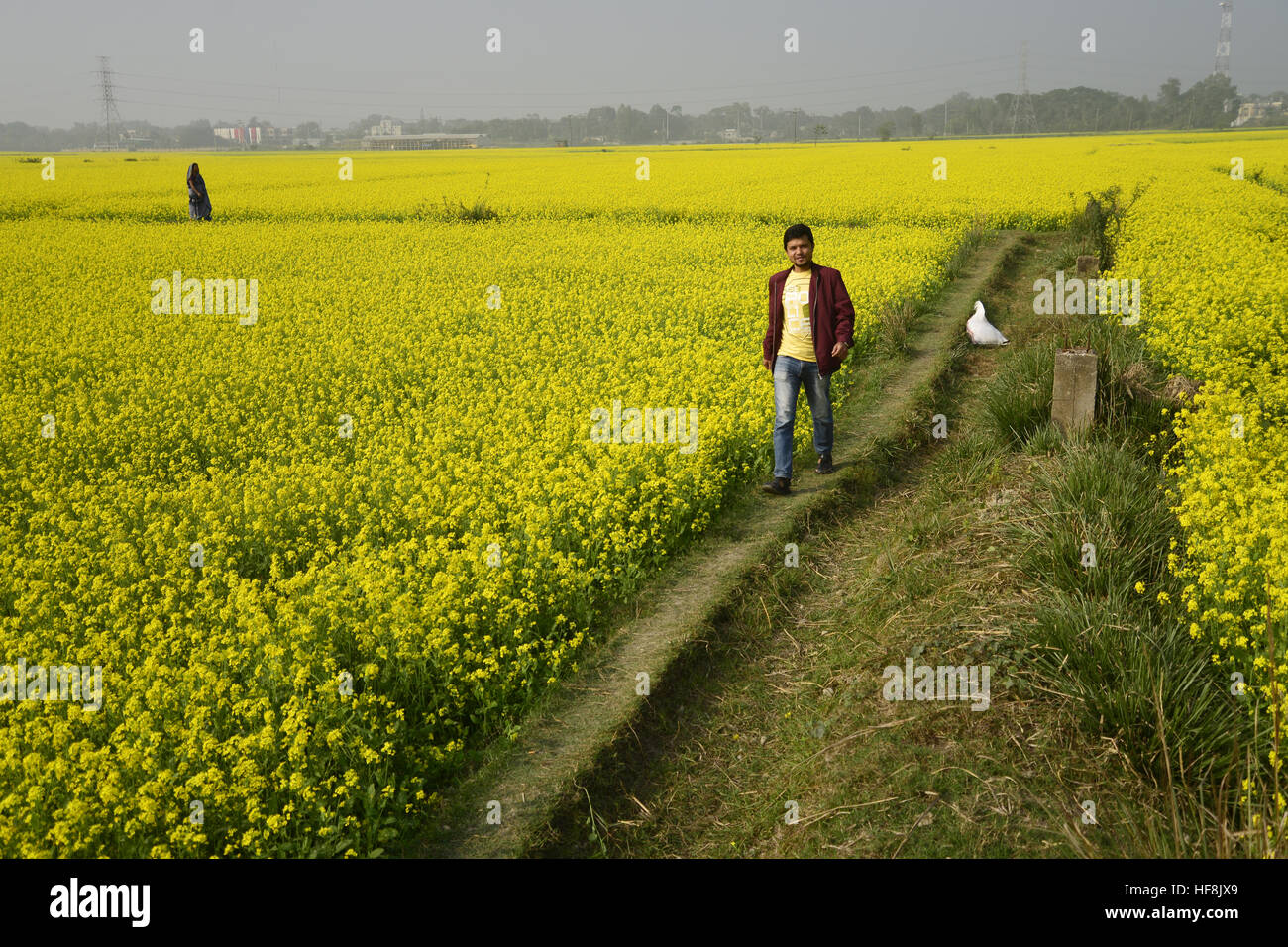 Dhaka, Bangladesh. 28th Dec, 2016. Bangladeshi peoples walks in the ...