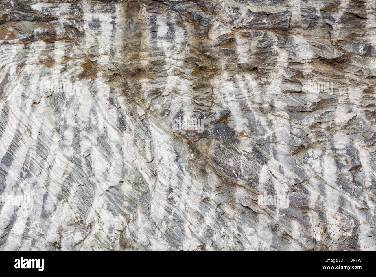 Precambrian shield hi-res stock photography and images - Alamy