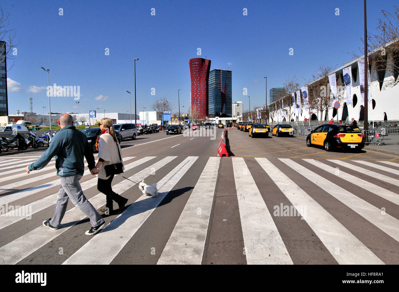 People walking on a zebra crossing. Hospitalet de Llobregat, Barcelona ...