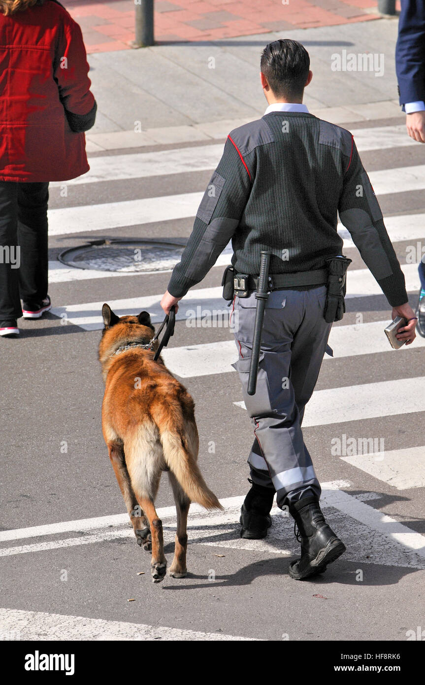 Security guard with dog Stock Photo - Alamy
