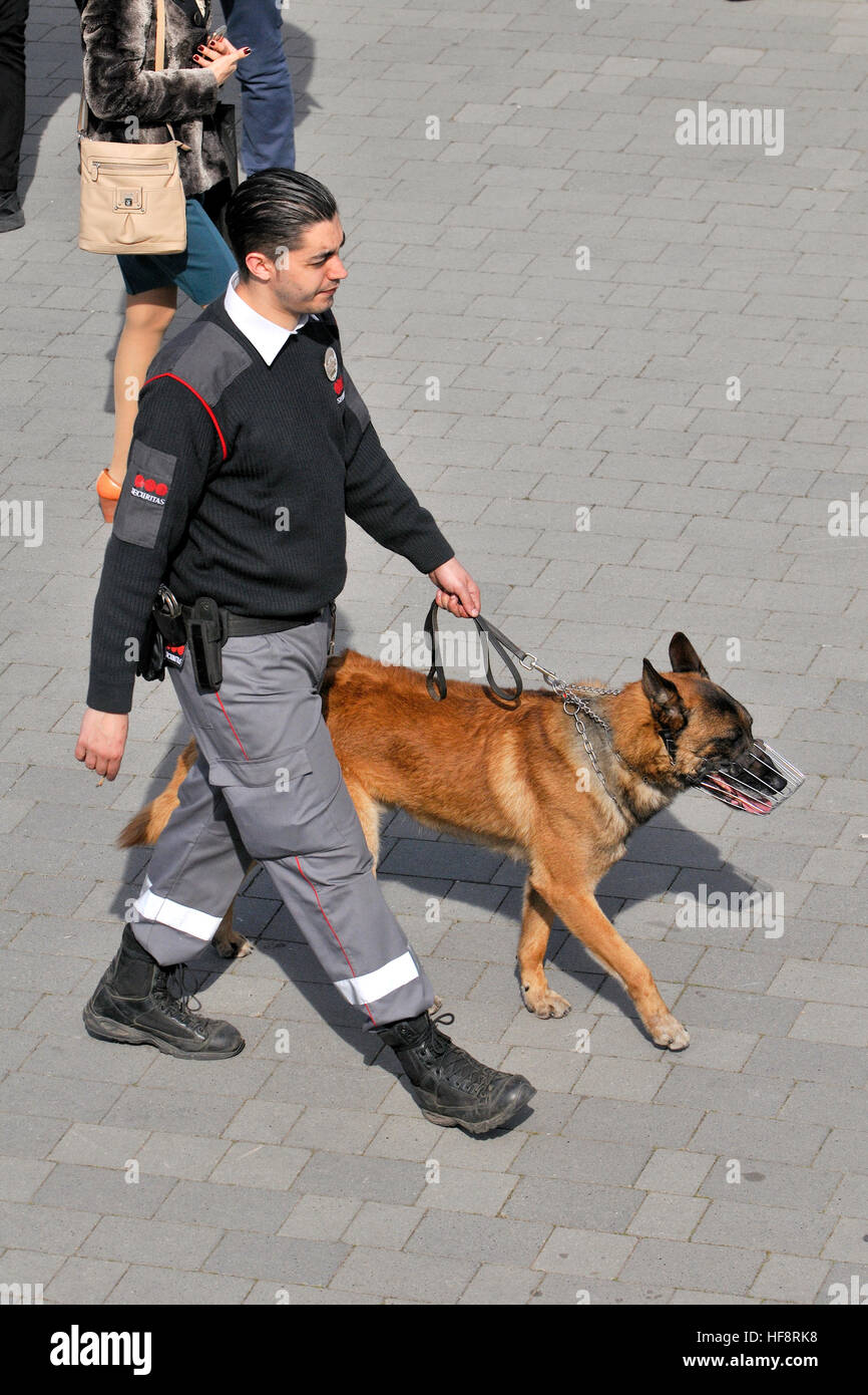 Security guard with dog Stock Photo - Alamy