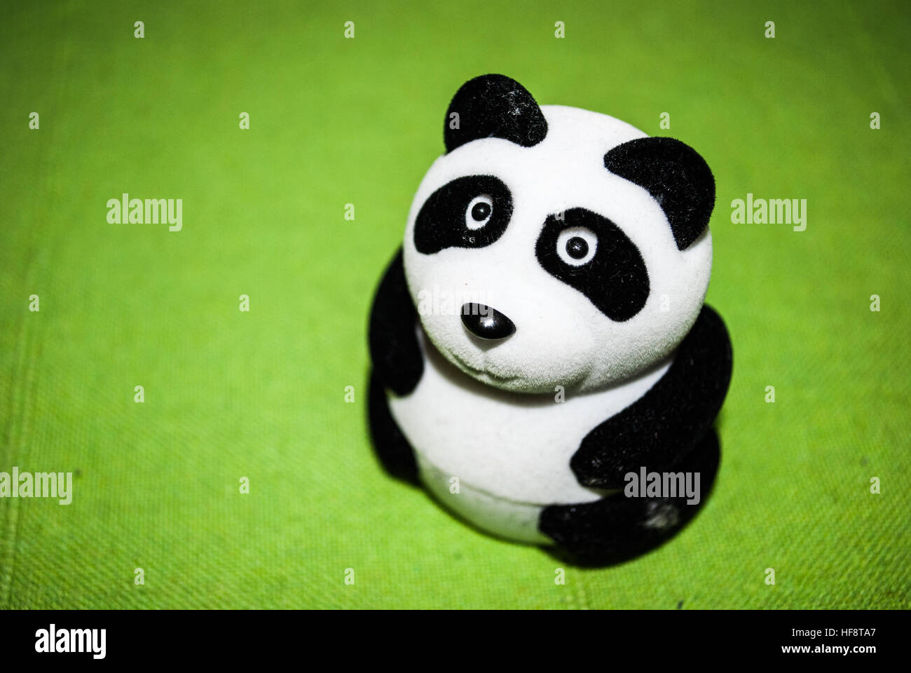 panda jewelry box Stock Photo - Alamy