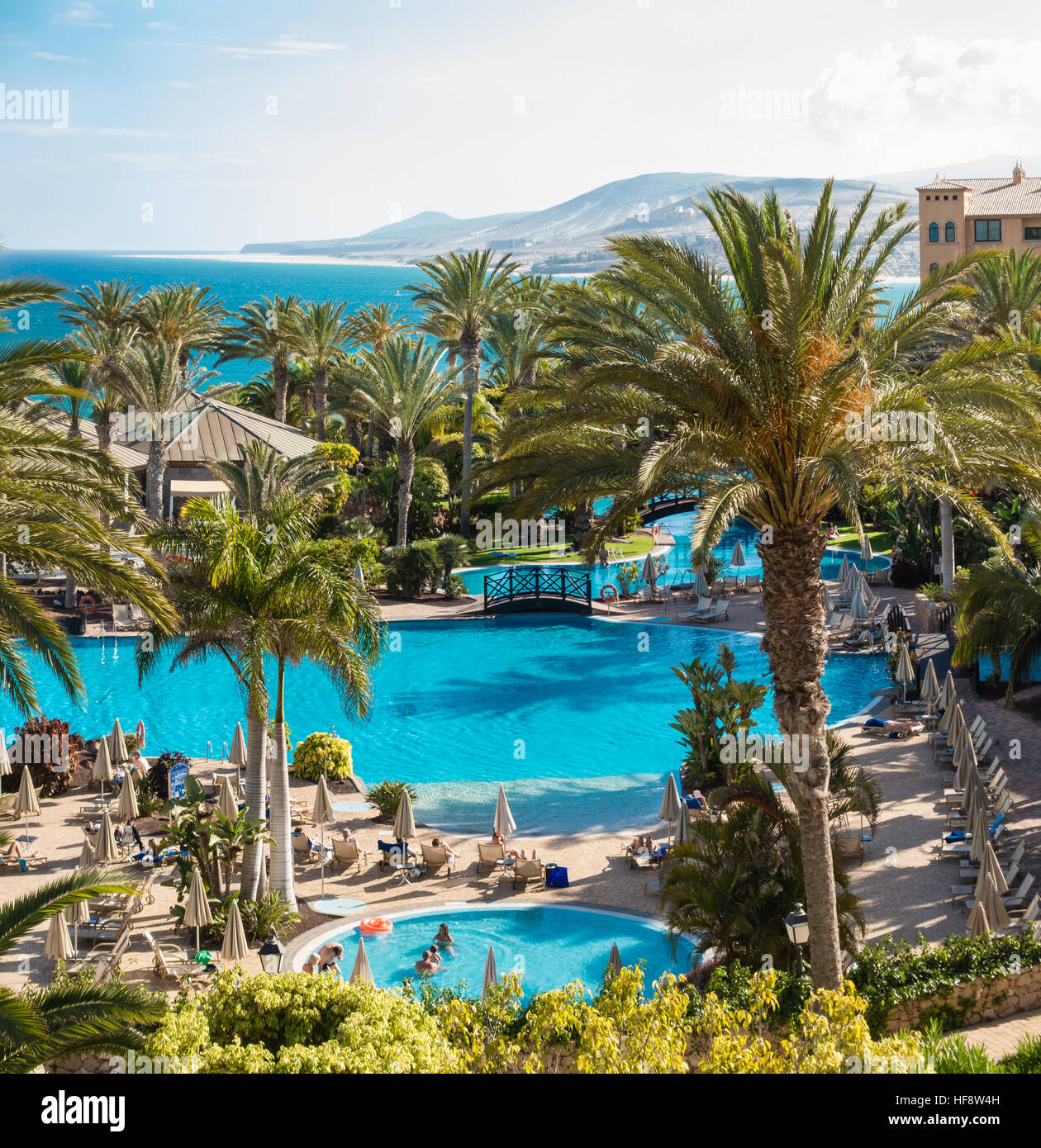 Vertical panorama of main pool, pool bar, palm trees, and view on the ...