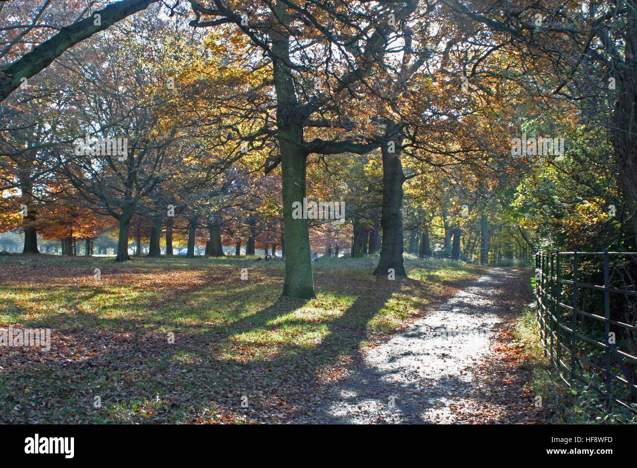 Thames valley park nature reserve hi-res stock photography and images ...