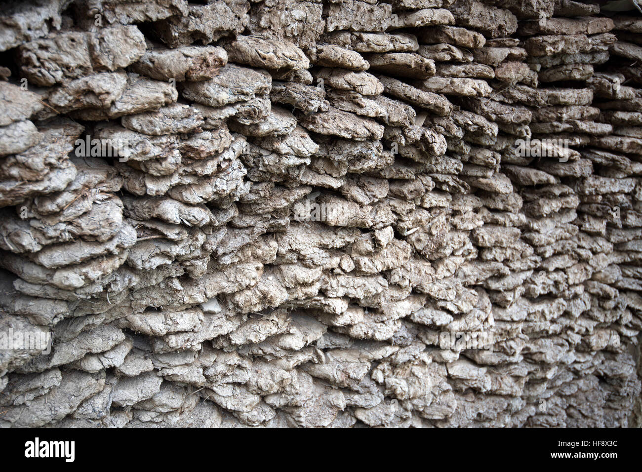 Close up of dry fuel made of cow manure Stock Photo - Alamy
