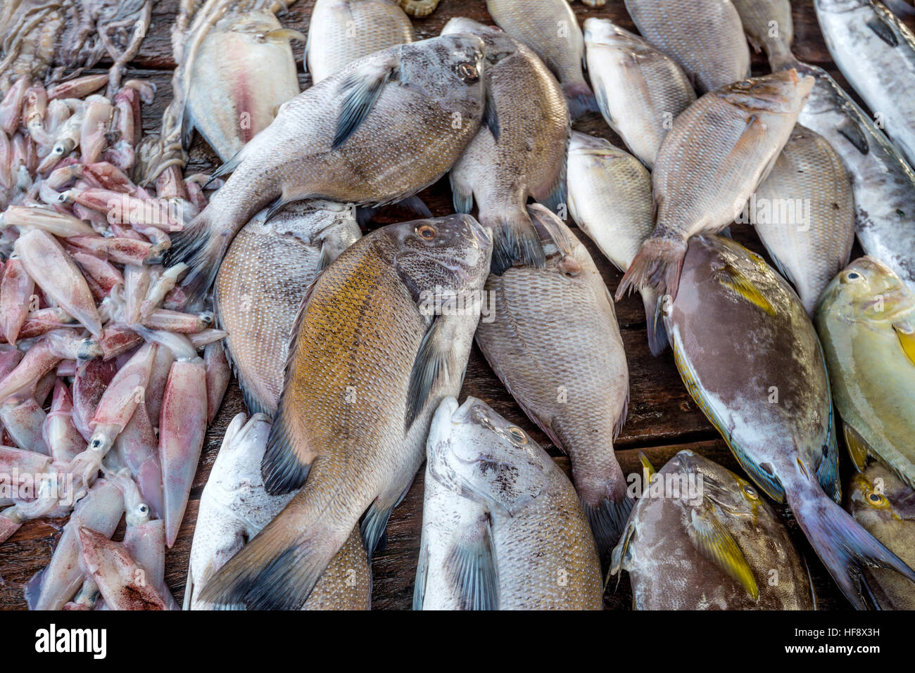 Fresh raw sea fish and sea food market in Asia near fishermen village ...