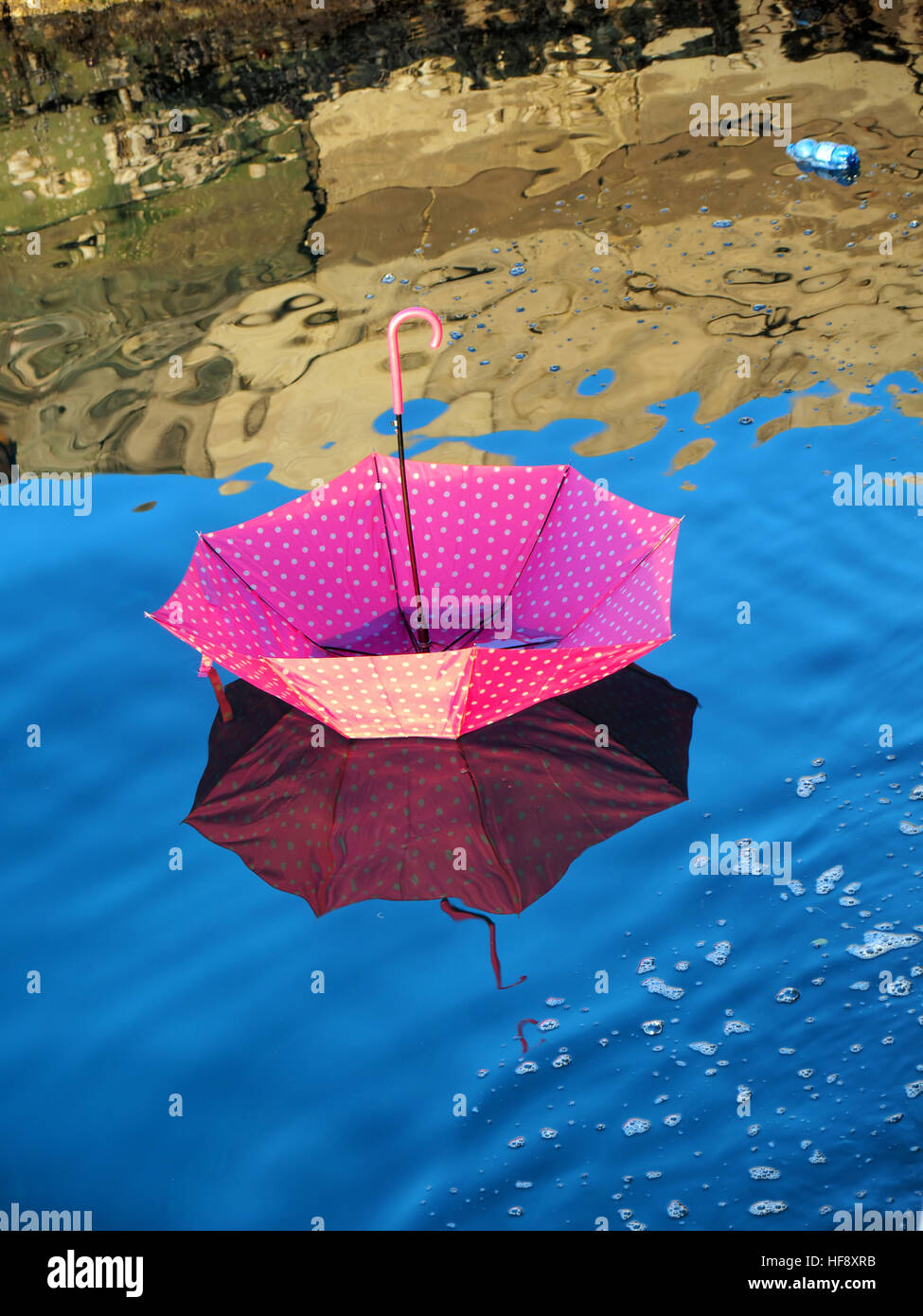 Pink spoted upturned umbrella floating on water surface Stock Photo - Alamy