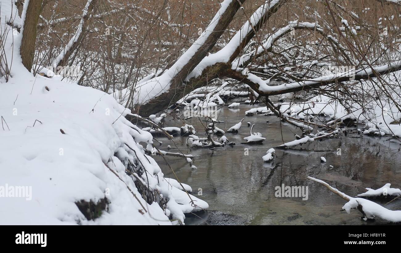 creek in the woods landscape nature winter flowing water, small river ...