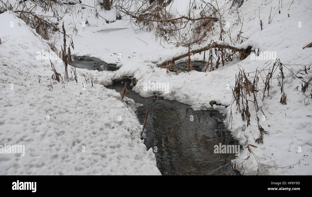 creek in the woods in nature winter flowing water, small river in the ...