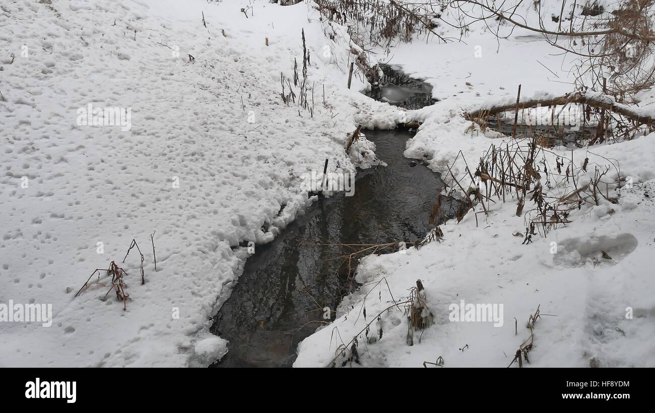 creek in the woods in winter flowing water, small river in nature the ...