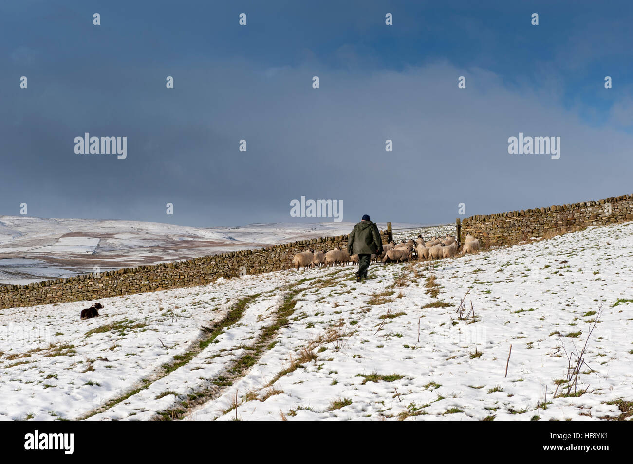 Farmer gate uk hi-res stock photography and images - Alamy