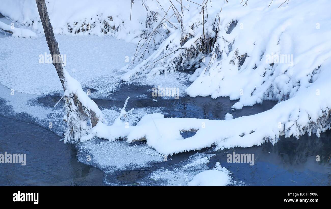 forest stream in winter nature snow grass and tree beautiful landscape ...