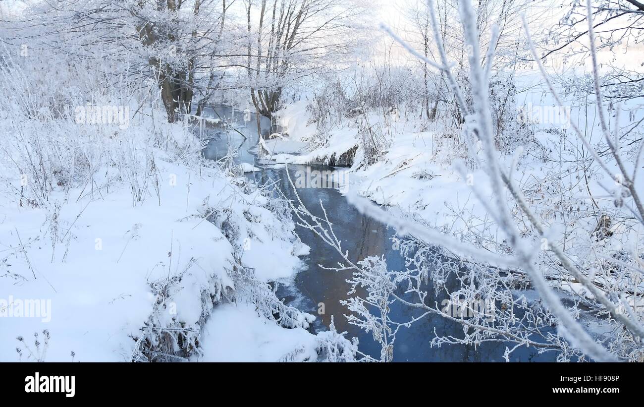 winter creek in the forest snow, frozen branches of trees landscape ...