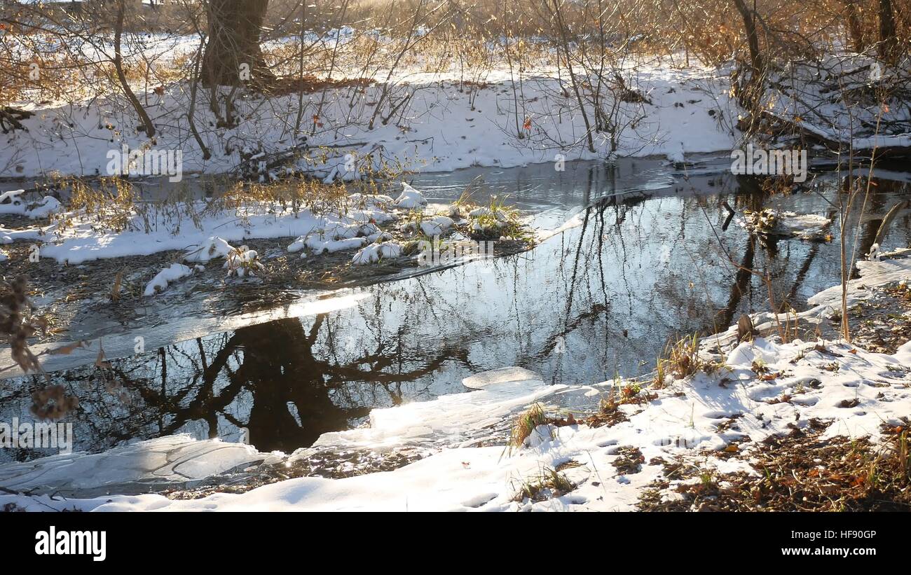 Forest river flowing water nature late winter melted ice landscape ...