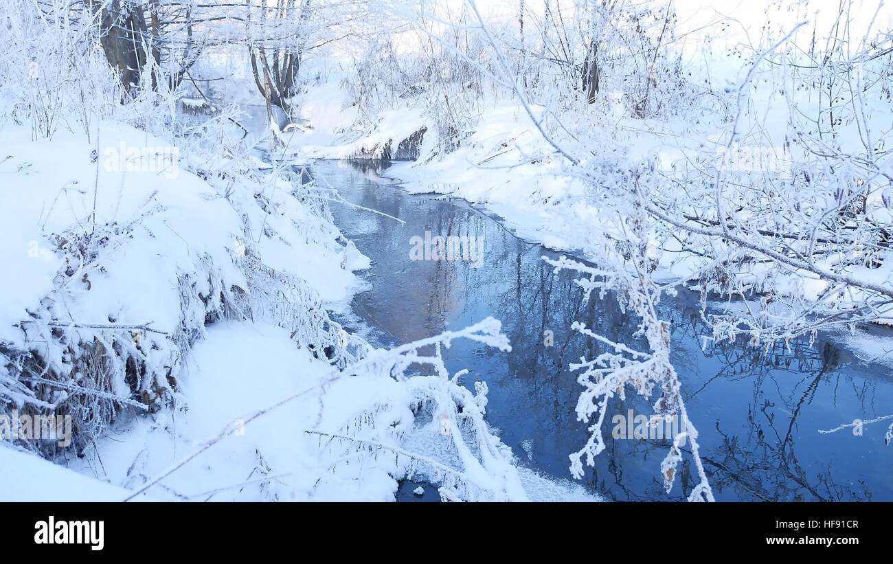 winter creek in the forest snow, frozen branches of landscape tree ...