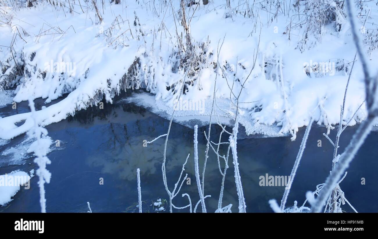 forest stream in winter snow nature grass and tree beautiful landscape ...