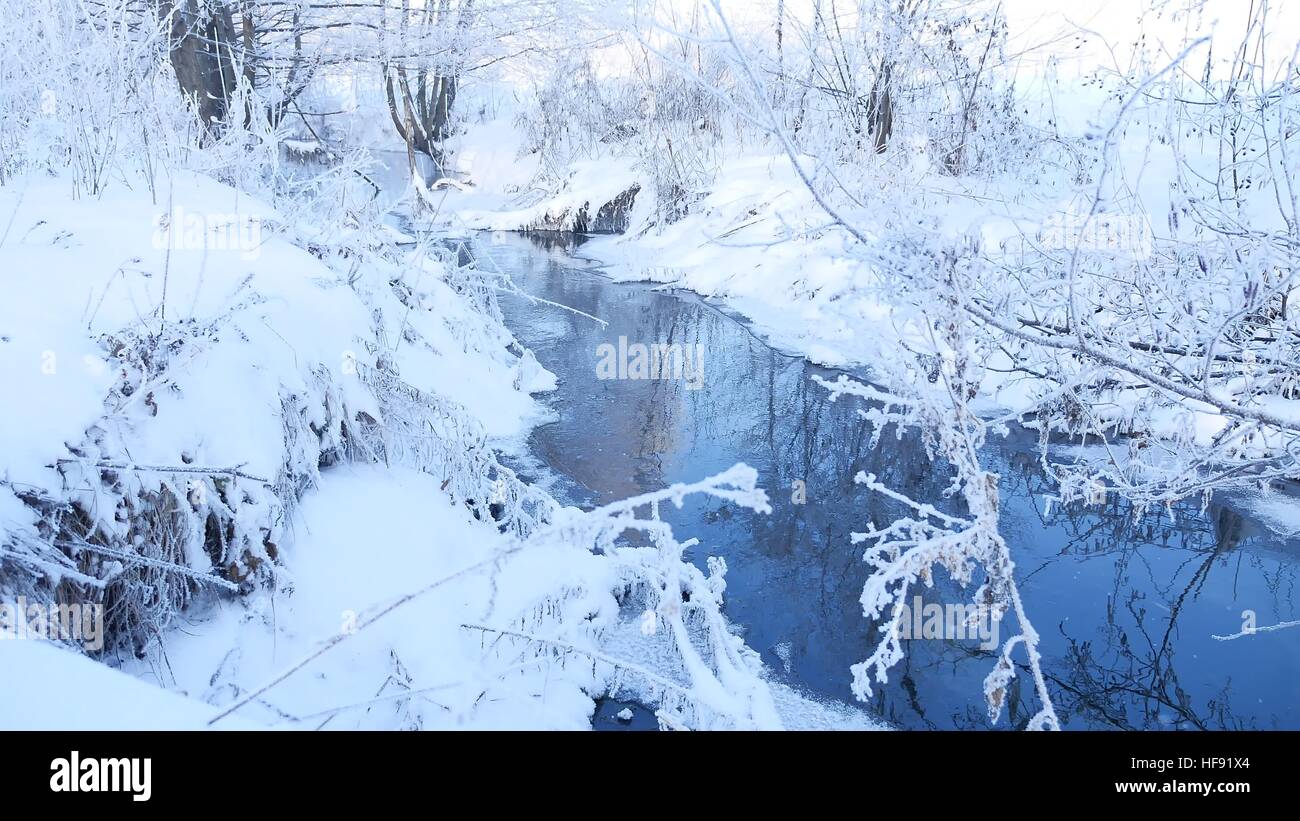 winter creek in the forest snow, frozen branches of landscape tree ...