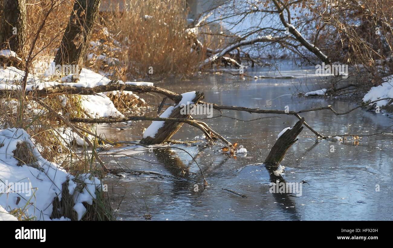 winter landscape River in forest frozen water ice nature Stock Photo ...