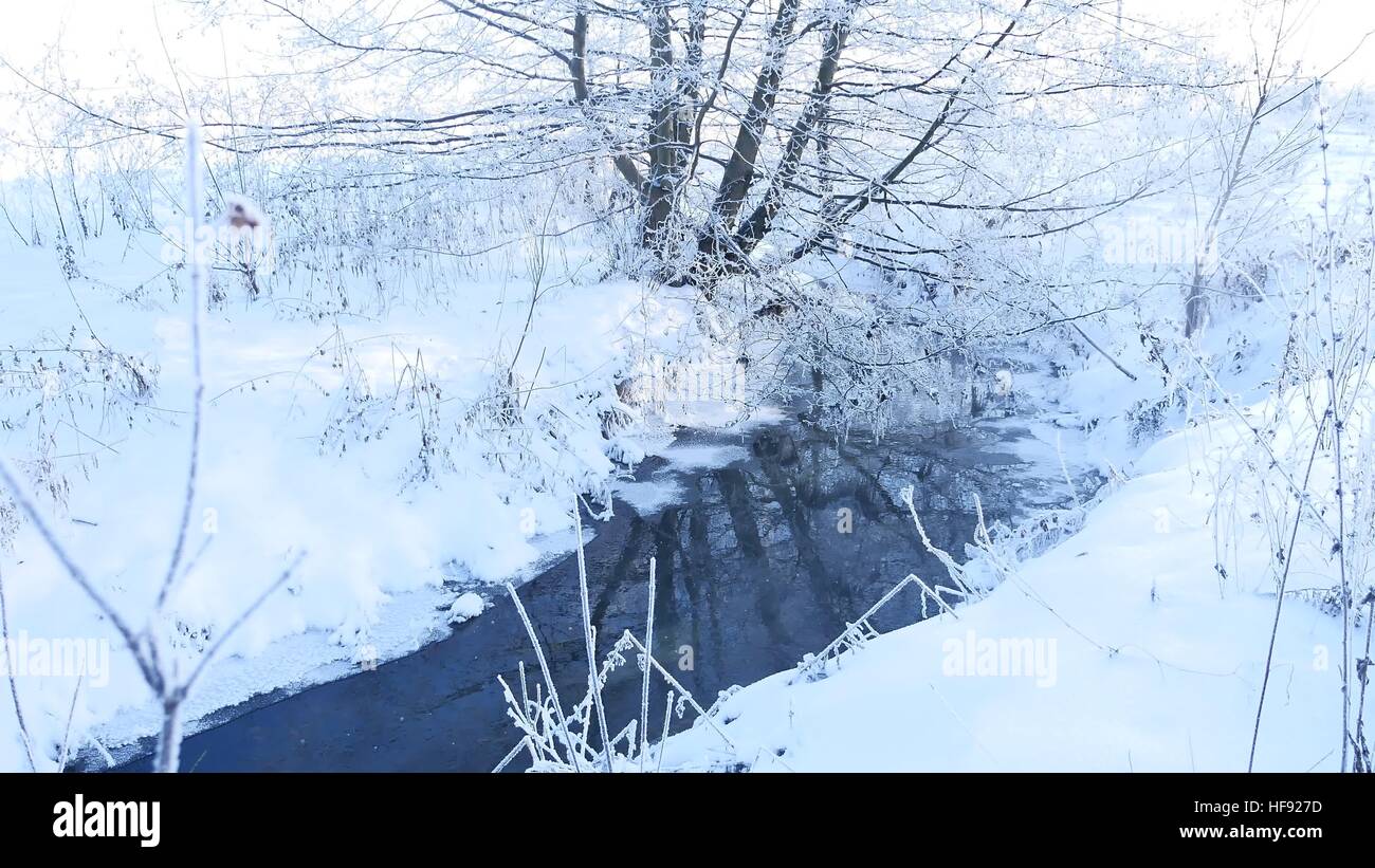 forest stream in winter snow grass and trees beautiful nature landscape ...