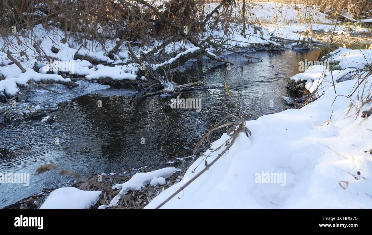 Forest river flowing water late winter a melted nature ice landscape ...
