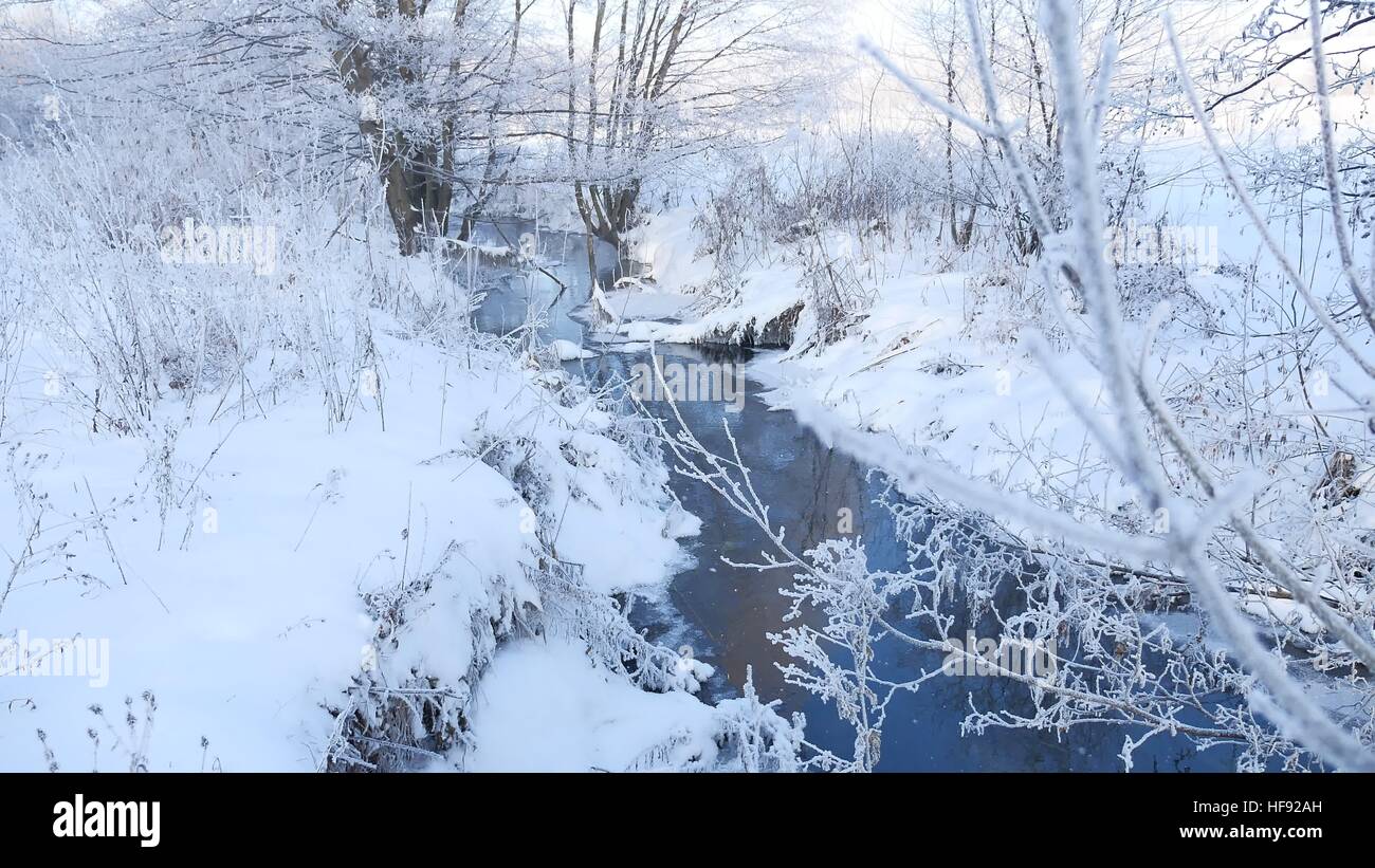 winter creek in the forest snow, frozen branches of trees landscape ...