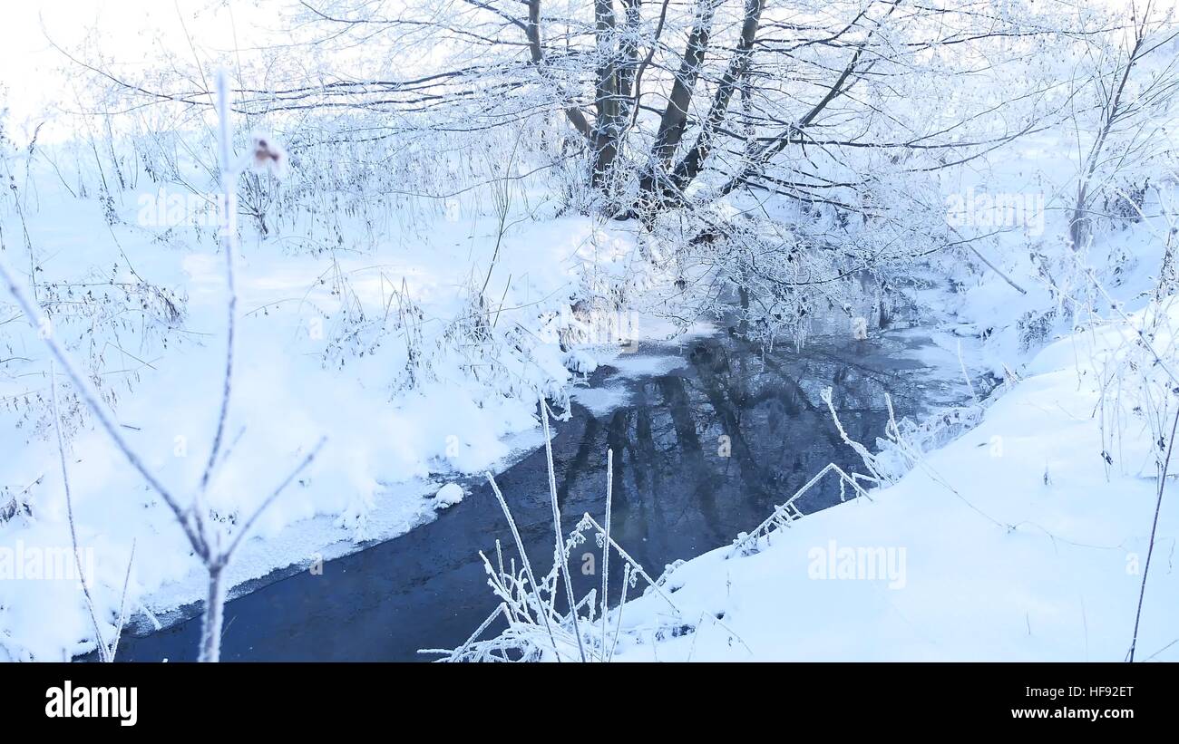 forest stream in winter snow grass and trees beautiful nature landscape Stock Photo - Alamy