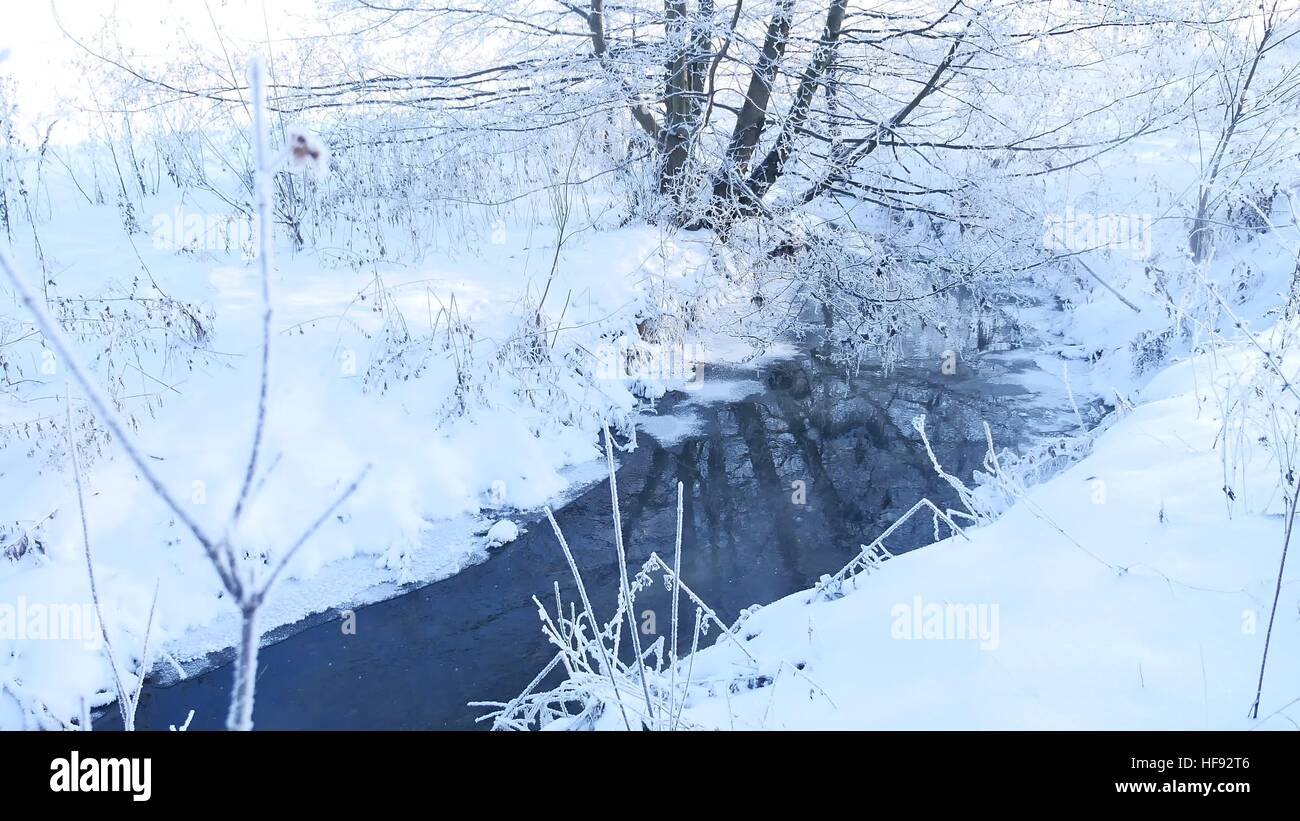 forest stream in winter snow grass and trees beautiful nature landscape ...