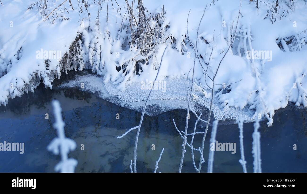 forest stream in winter snow grass nature and tree beautiful landscape ...