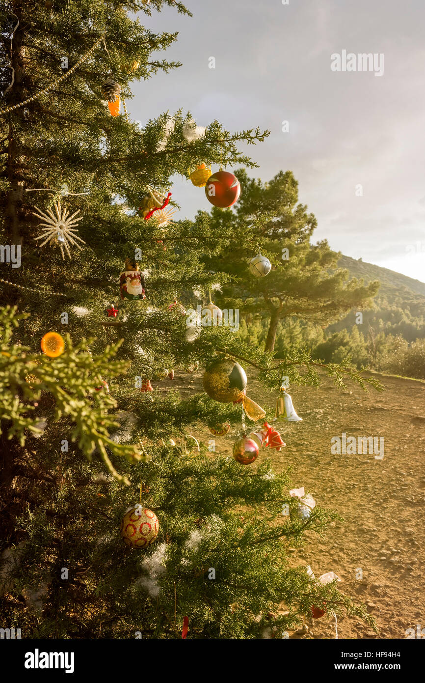 Decorated Christmas tree in the forest at nature background Stock Photo ...
