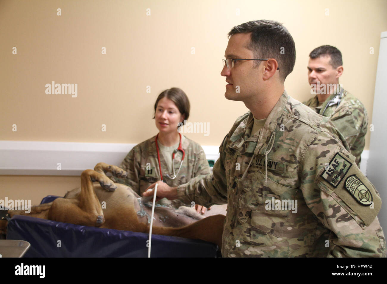 Cmdr. Lance Klosterman, a U.S. Navy physician radiologist, performs an ...