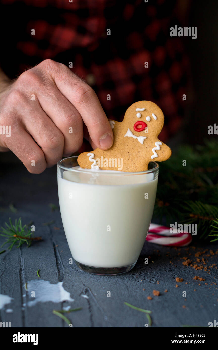 Gingerbread cookie and milk. Man holding gingerbread man cookie and ...
