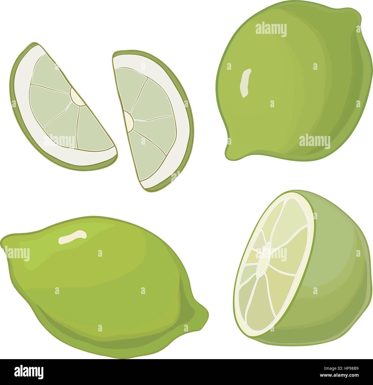 Set slices of lime isolated on white background Stock Vector Image ...