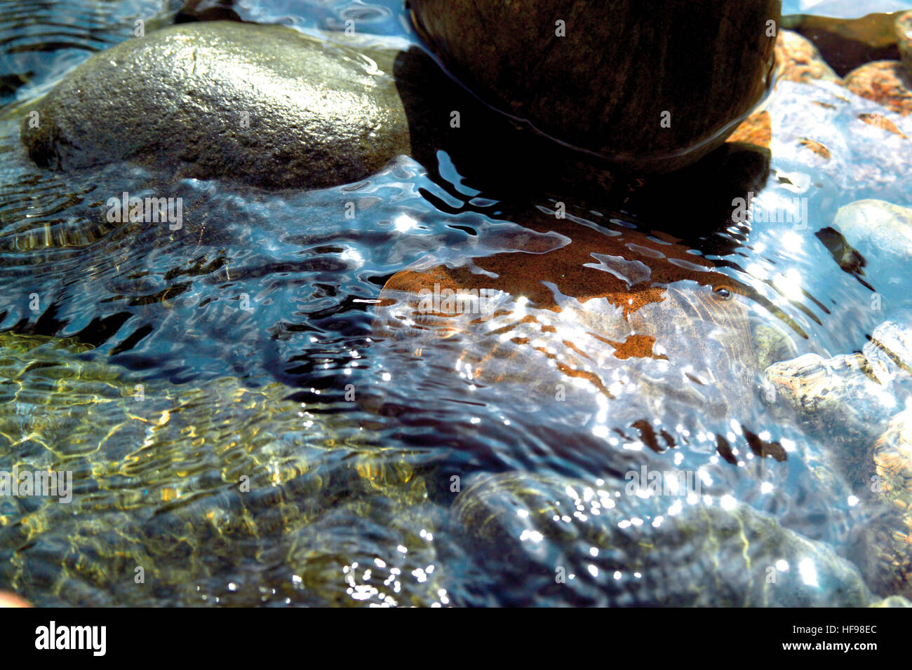 Clear spring water flowing over stones Stock Photo - Alamy