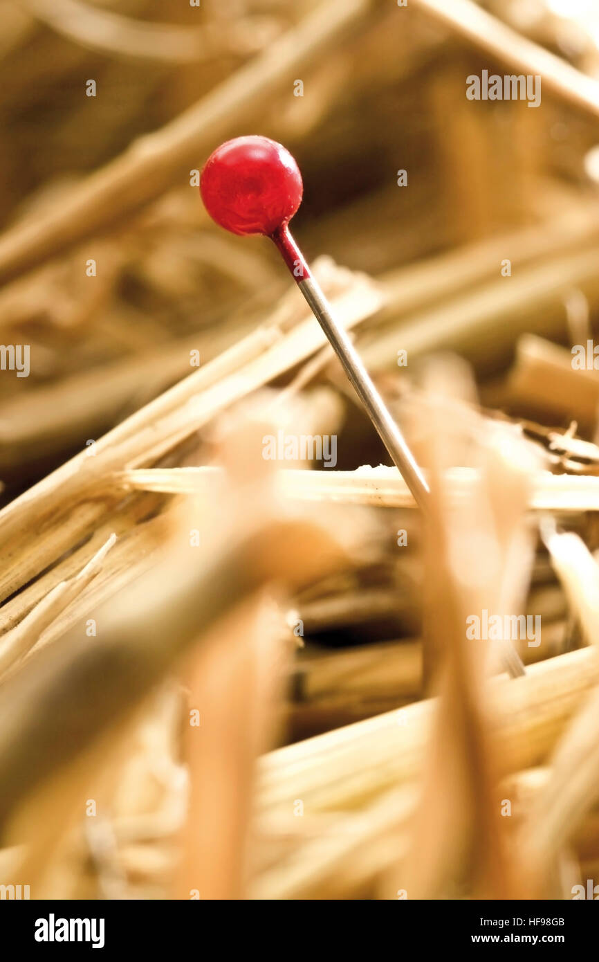 Needle in a haystack Stock Photo - Alamy