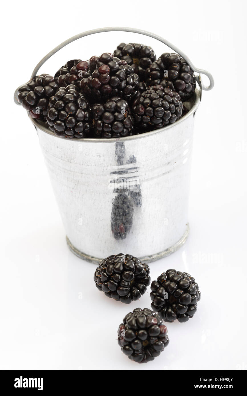 Small tin pail filled with blackberries Stock Photo - Alamy