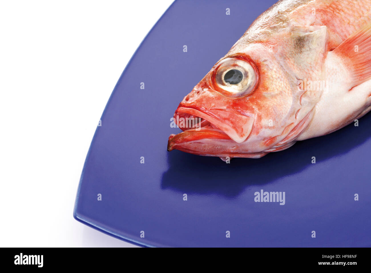 Ocean perch fish head on blue plate Stock Photo - Alamy