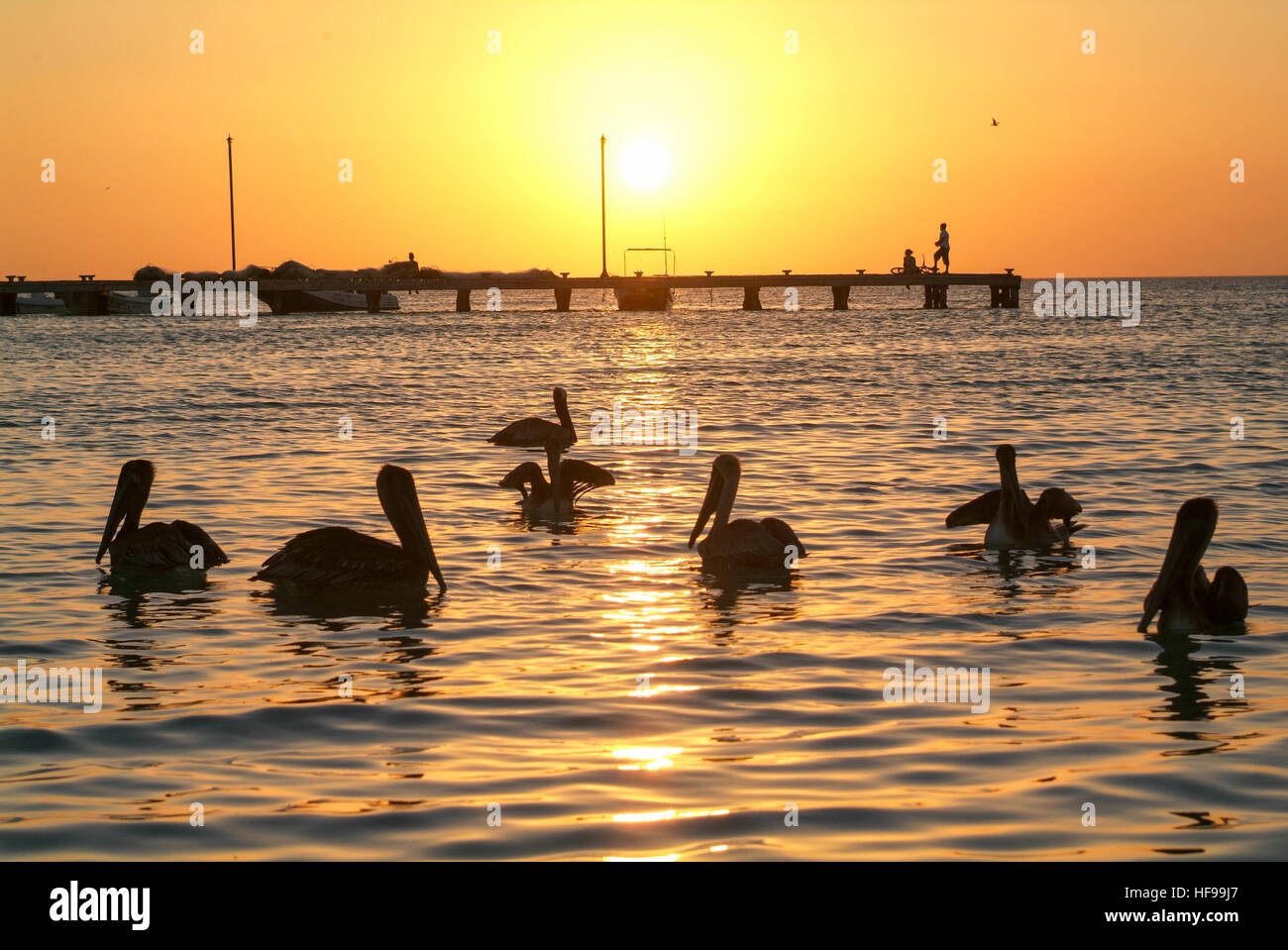 Sunset at the beach of Holbox Island, Mexico Stock Photo - Alamy