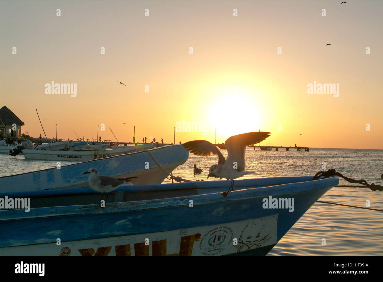 Sunset at the beach of Holbox Island, Mexico Stock Photo - Alamy